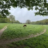 Banstead Woods Nature Circular, Surrey, England - 703 Reviews, Map ...
