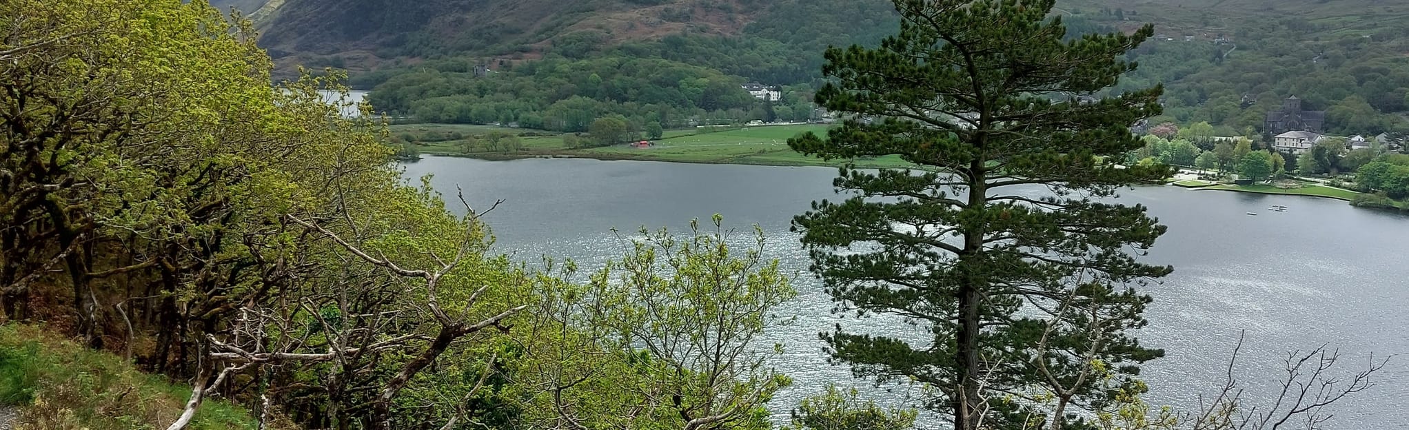 Lyn Padarn Lake Walk: 423 Reviews, Map - Gwynedd, Wales | AllTrails