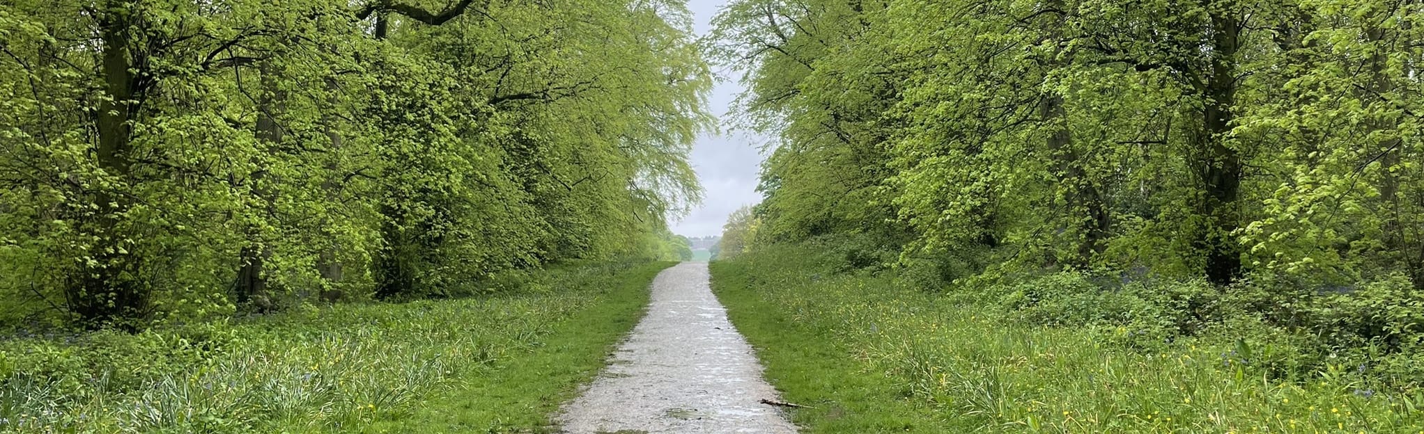 Temple Newsam and Skelton Lake, West Yorkshire, England - 191 Reviews ...