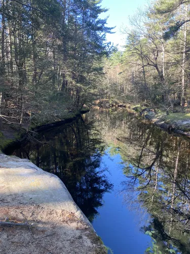 10 Best Trails and Hikes in Townsend | AllTrails