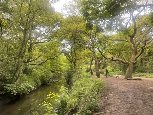 2023 Best Walking Trails in Richmond Park | AllTrails