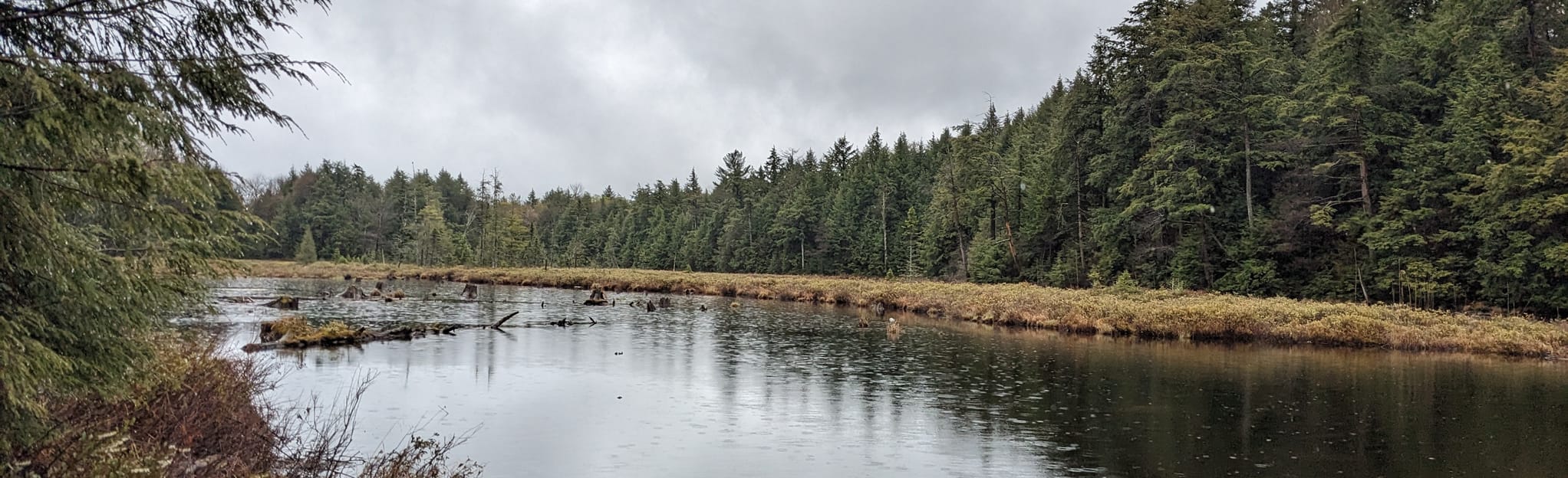 Inman Pond Trail, New York - 244 Reviews, Map | AllTrails