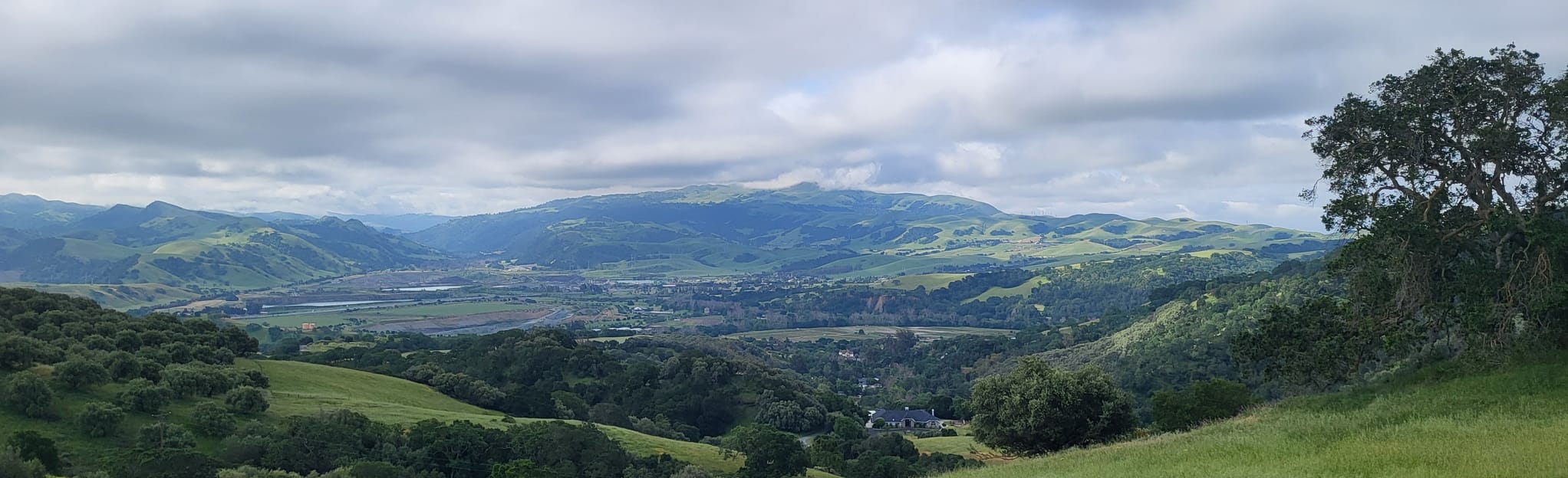 Pleasanton Ridge Thermalito Loop: 363 Reviews, Map - California | AllTrails