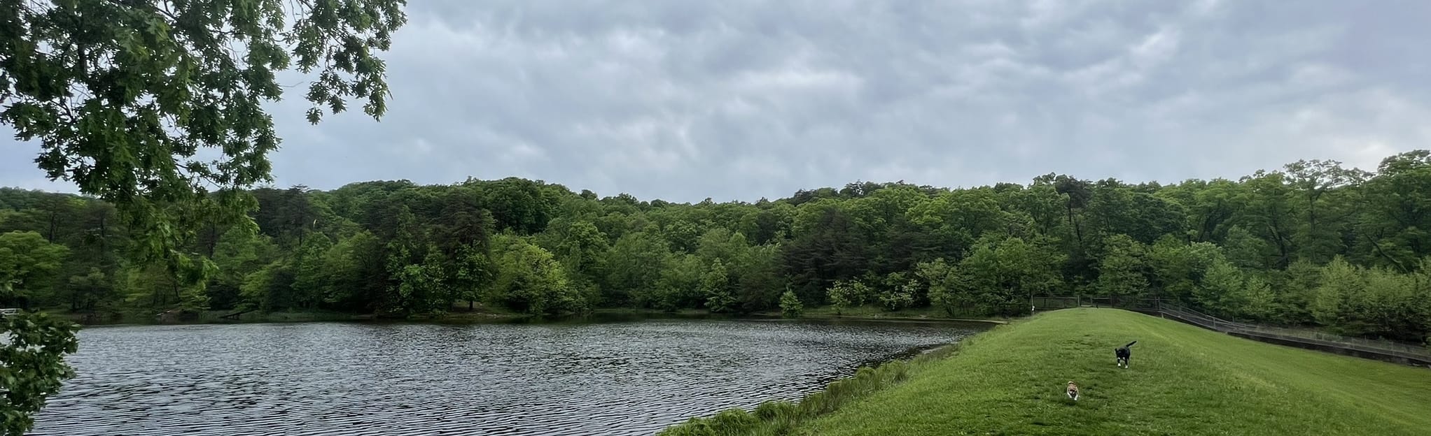 Siltstone Trail and Tom Wallace Lake Loop: 120 Reviews, Map - Kentucky ...
