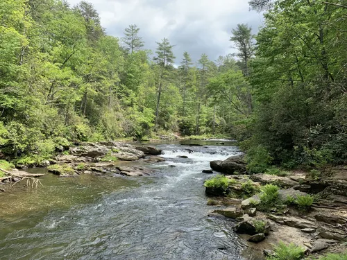 10 Best Waterfall Trails in Sumter National Forest | AllTrails