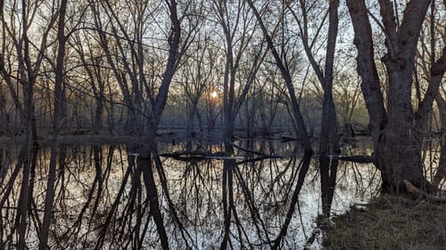 Best Hikes and Trails in Rum River Central Park | AllTrails