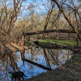 Rum River Central, Minnesota - 332 Reviews, Map | AllTrails