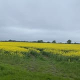 Old Basing Northern and River Loddon Circular, Hampshire, England - 195 ...