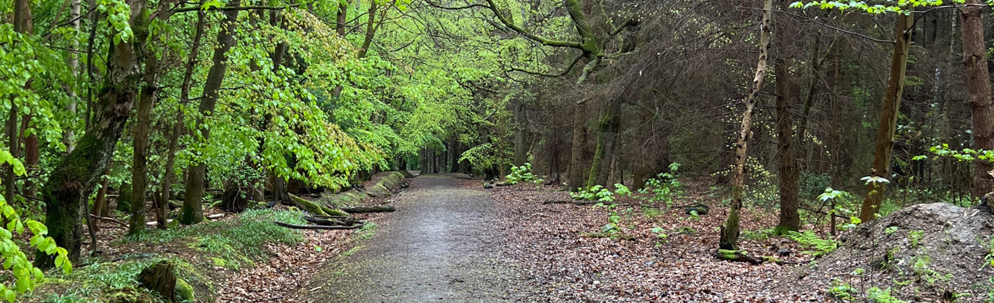 Kinneil Woods Circular: 9 Reviews, Map - Falkirk, Scotland | AllTrails