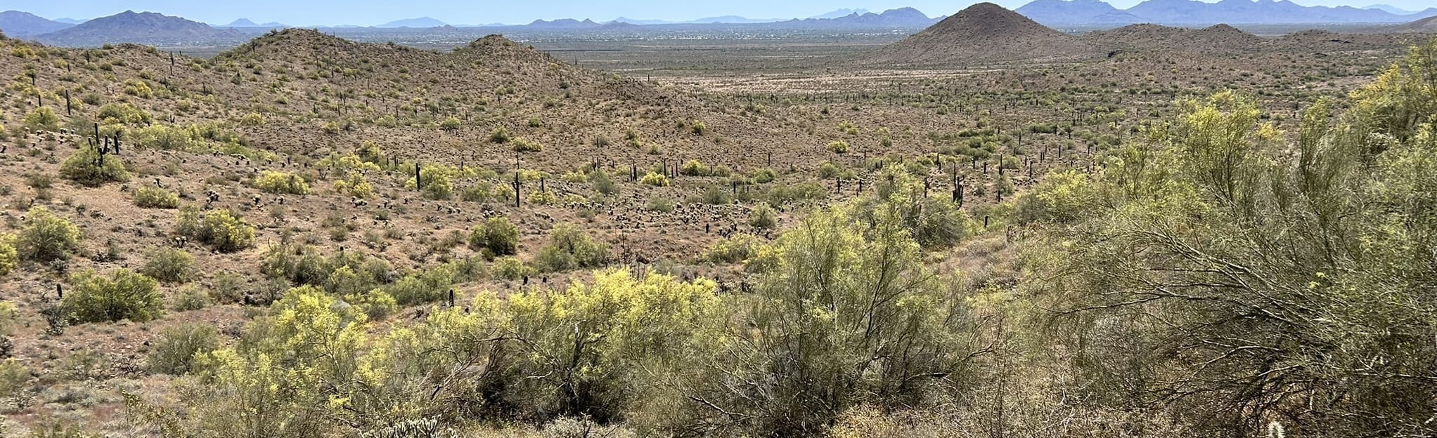 Dixie Summit Trail, Arizona - 1,221 Reviews, Map | AllTrails
