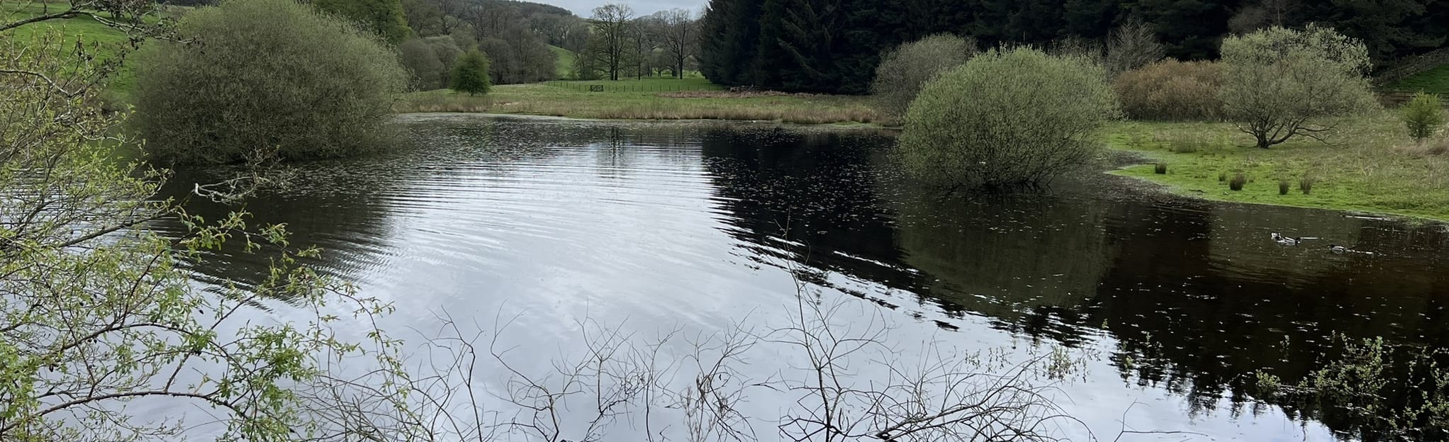 Wolsingham to Tunstall Reservoir Circular, County Durham, England - 182 ...