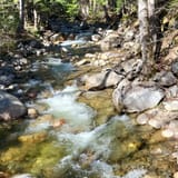 Swift River Lower Falls, New Hampshire - 194 Reviews, Map | AllTrails