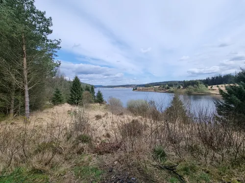 10 Best Walking Trails in Kielder Forest | AllTrails