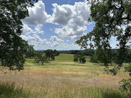 Best Wild Flowers Trails in Red Hills Recreation Management Area ...