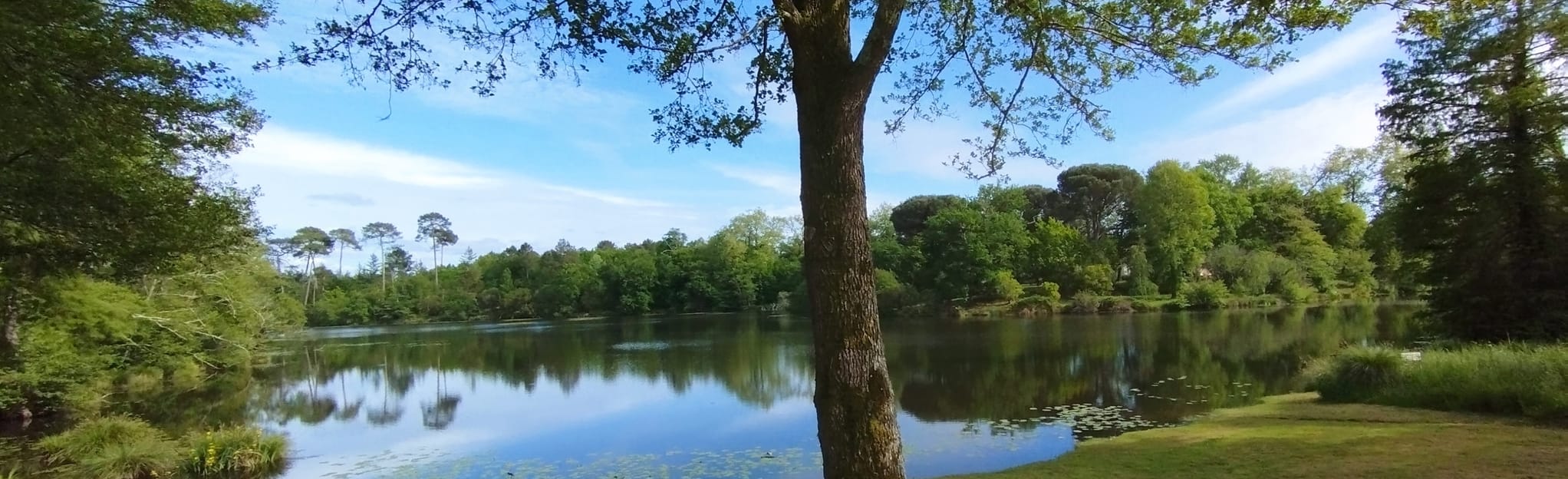 Circuit of the Forge in Pontenx-les-Forges, Landes, France - 11 Reviews ...
