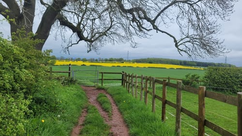 Best Hikes and Trails in Robin Wood | AllTrails