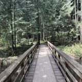 Tickle Creek Trail, Oregon - 384 Reviews, Map | AllTrails