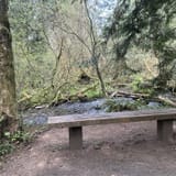 Tickle Creek Trail, Oregon - 384 Reviews, Map | AllTrails