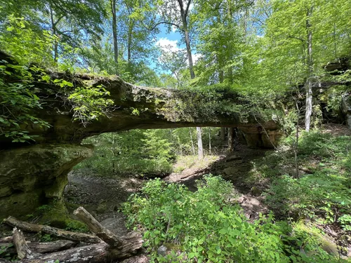 10 Best Hikes and Trails in Shawnee National Forest | AllTrails