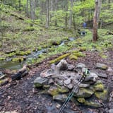 Black Forest North Loop Trail, Pennsylvania - 285 Reviews, Map | AllTrails