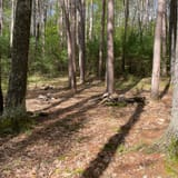 Black Forest North Loop Trail, Pennsylvania - 285 Reviews, Map | AllTrails