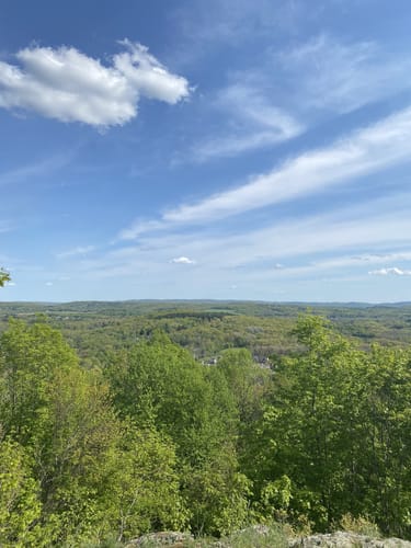 Best Hikes and Trails in Red Wing Recreation Area | AllTrails