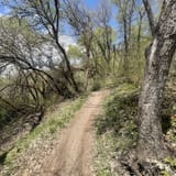 Ghost Falls via Little Corner Canyon Trail, Utah - 844 Reviews, Map ...