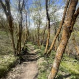 Ghost Falls via Little Corner Canyon Trail, Utah - 844 Reviews, Map ...