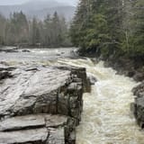 Lovequist Loop, New Hampshire - 375 Reviews, Map | AllTrails