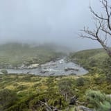 Illawong Walk, New South Wales, Australia - 330 Reviews, Map | AllTrails