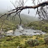 Illawong Walk, New South Wales, Australia - 330 Reviews, Map | AllTrails
