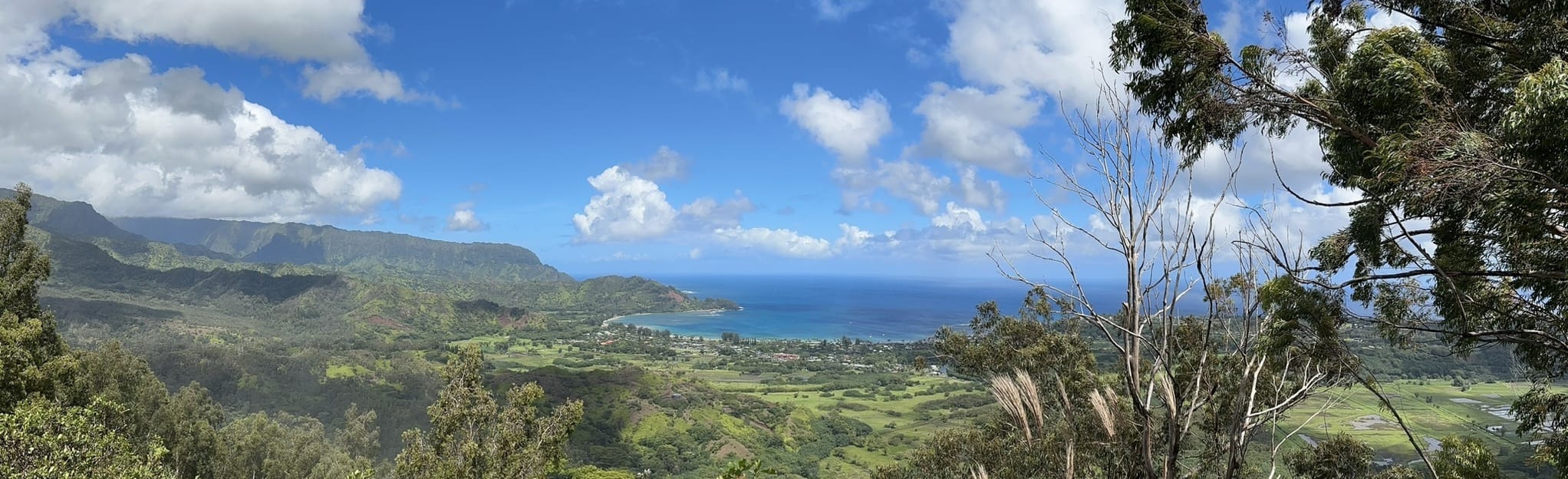 Okolehao Viewpoint via Okolehao Trail, Kaua'i, Hawaii - 2,356 Reviews ...