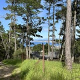 Huckleberry Hill Loop Trail, California - 734 Reviews, Map | AllTrails