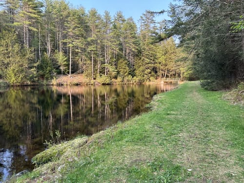 Best Hikes and Trails in Buffam Falls Conservation Area | AllTrails