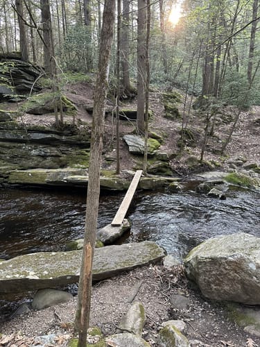 Best Hikes and Trails in Buffam Falls Conservation Area | AllTrails