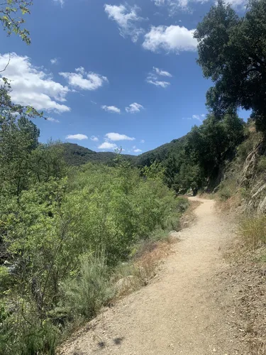 10 Best Trails and Hikes in Fallbrook | AllTrails
