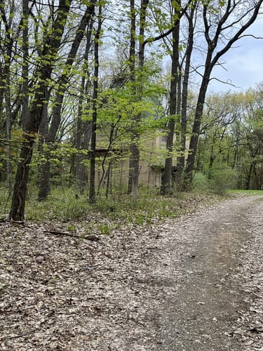 Best Hikes and Trails in Stinchfield Woods | AllTrails