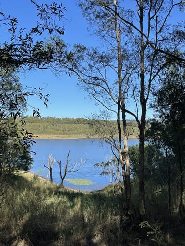 Best Hikes and Trails in Bullocky Rest | AllTrails