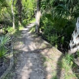 Doris Leeper Trail, Florida - 425 Reviews, Map | AllTrails