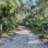 Doris Leeper Trail, Florida - 429 Reviews, Map | AllTrails