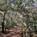 Doris Leeper Trail, Florida - 429 Reviews, Map | AllTrails