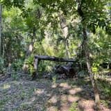 Doris Leeper Trail, Florida - 429 Reviews, Map | AllTrails