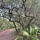 Doris Leeper Trail, Florida - 429 Reviews, Map | AllTrails