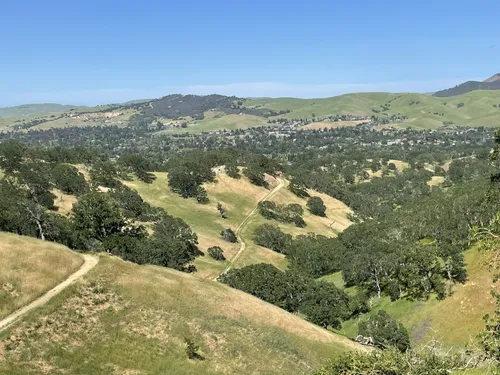 10 Best Hikes and Trails in Shell Ridge Open Space | AllTrails