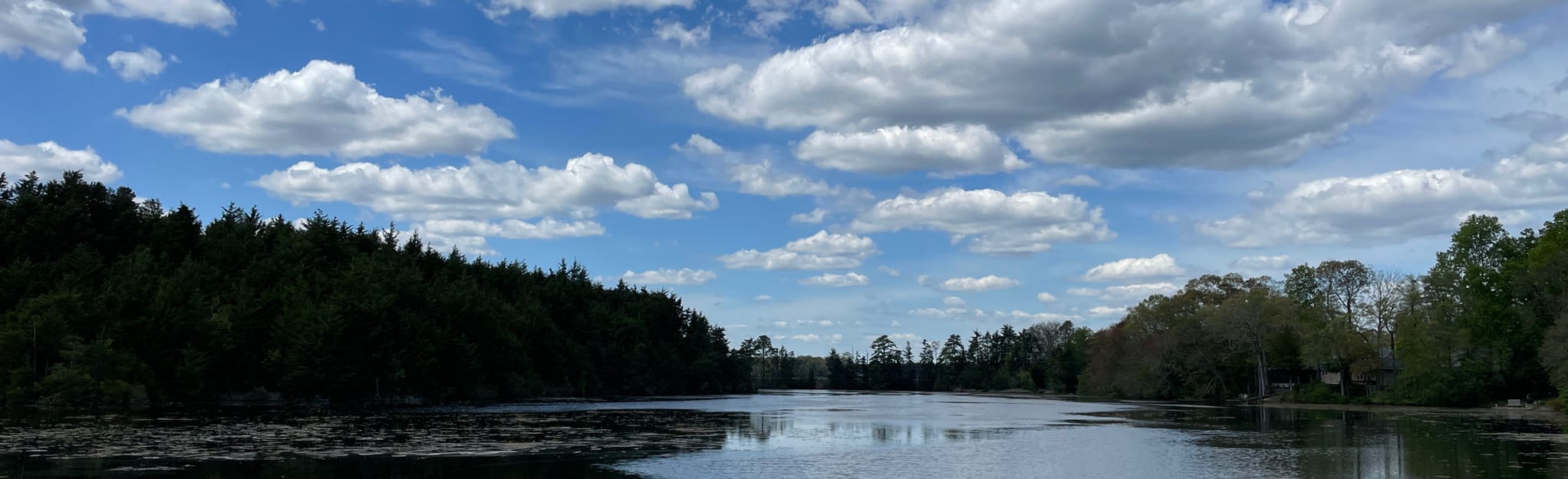 Barnegat Branch Trail: 208 Reviews, Map - New Jersey | AllTrails