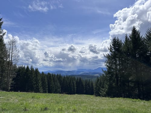 Best Hikes and Trails in Beazell Forest Park | AllTrails