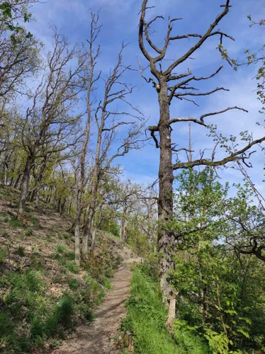 2023 Best 10 Historic Site Trails in Chráněná krajinná oblast (CHKO ...