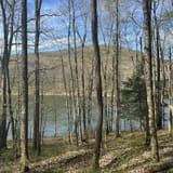 Tracy Ridge Hiking Trail System , Pennsylvania - 310 Reviews, Map ...