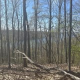 Tracy Ridge Hiking Trail System , Pennsylvania - 349 Reviews, Map ...