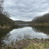 Tracy Ridge Hiking Trail System , Pennsylvania - 310 Reviews, Map ...